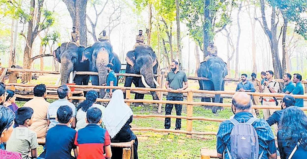 ആന കുത്താൻ വന്നാൽ എന്തു ചെയ്യും...!!; 2 നേരം എലിഫന്റ് ക്ലാസ് | Muthanga ...