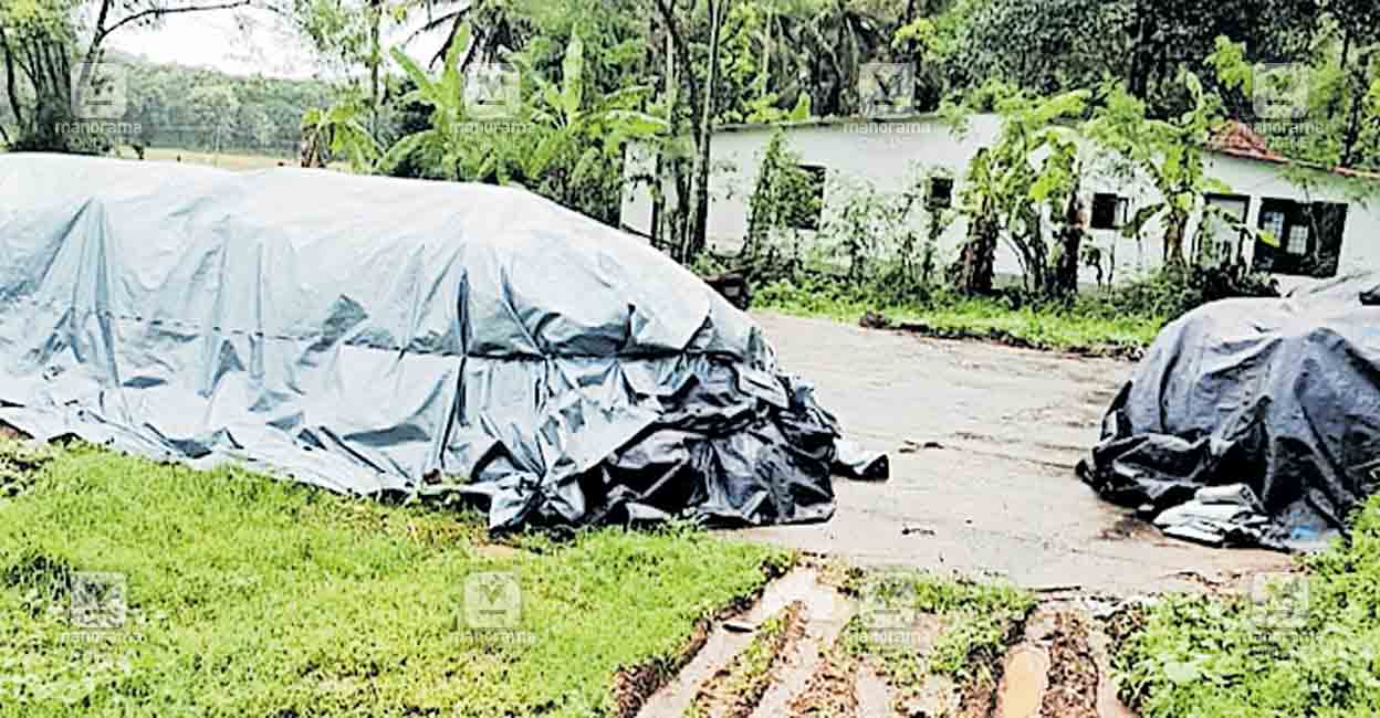 വരവൂർ പാടത്ത് നെല്ലു സംഭരണം മുടങ്ങി; വിൽക്കാനുള്ളത് 1,000 ക്വിന്റ ...