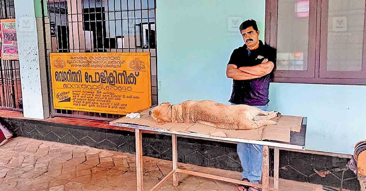 വെറ്ററിനറി ക്ലിനിക്കിൽ വളർത്തുനായ ചികിത്സ ലഭിക്കാതെ ചത്തെന്നു പരാതി ...