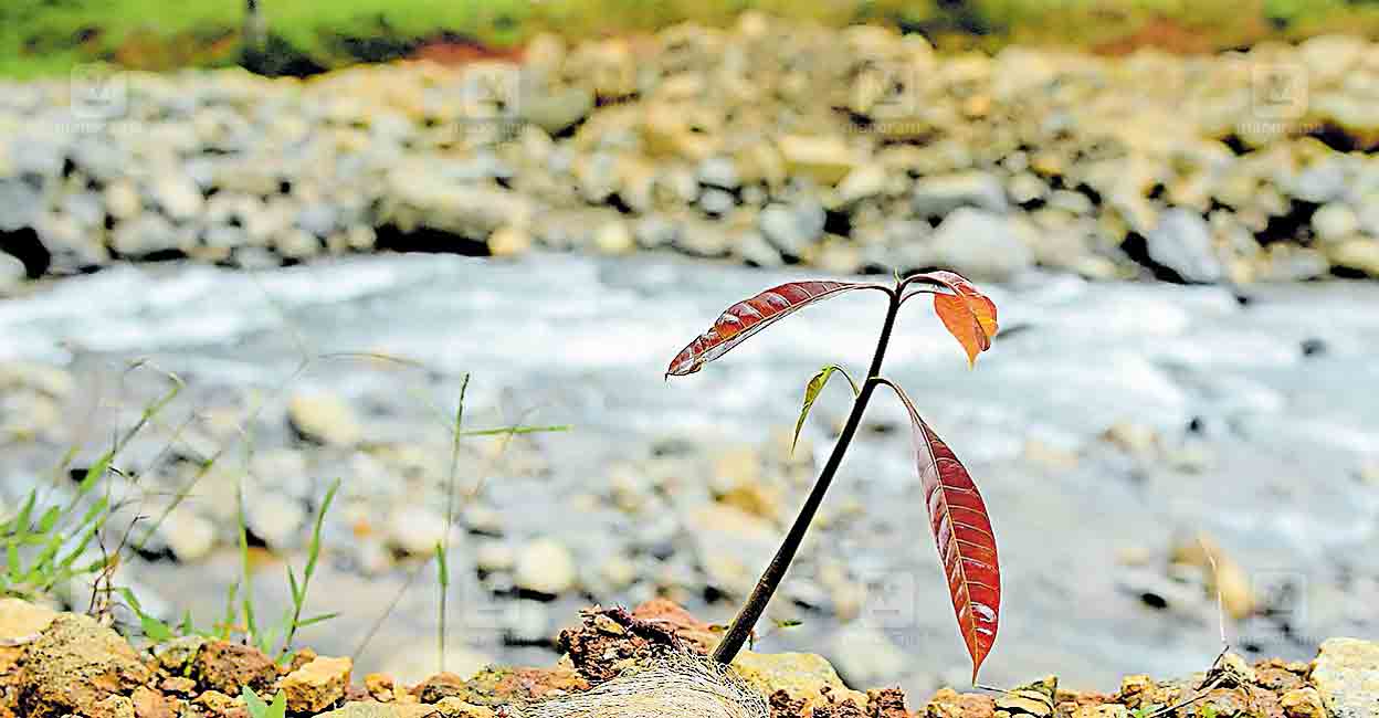 ആകാശത്തു മഴക്കാറു കാണുമ്പോഴേ പേടിയാണ്; ജീവിതം ഒഴുകിപ്പോയി, കരയിൽ ജീവ ...