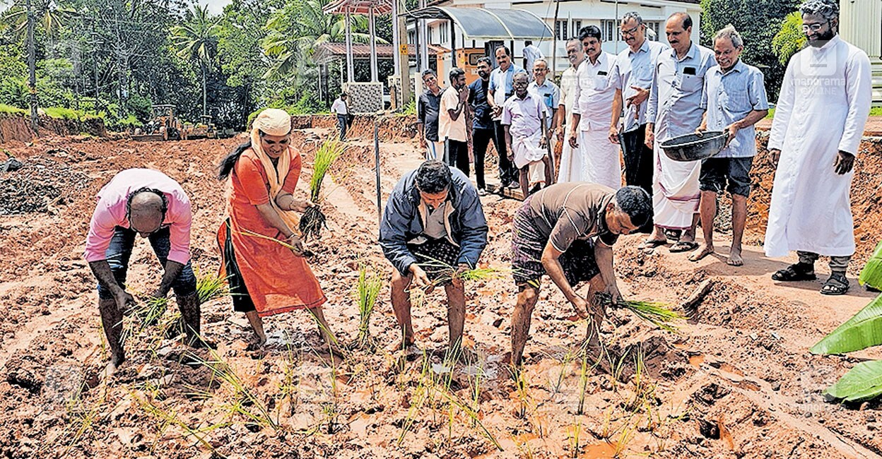ബീനാച്ചി - പനമരം റോഡിൽ കൃഷിയിറക്കി പ്രതിഷേധം | Nadavayal Road Protest ...