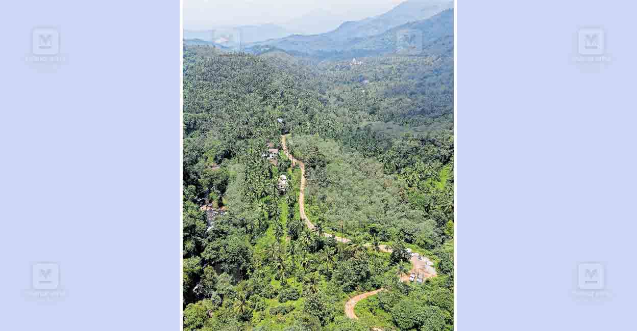 പൂഴിത്തോട്–പടിഞ്ഞാറത്തറ റോഡ്; തറക്കല്ല് വയസ്സ് 30 | Poozhithode ...