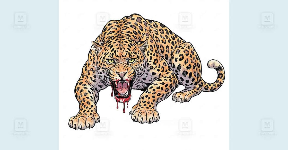 കടുവ പോയാൽ പുലി; ഭീതി ഒഴിയുന്നില്ല: 2 ദിവസത്തിനിടെ മൂന്നിടങ്ങളി ...