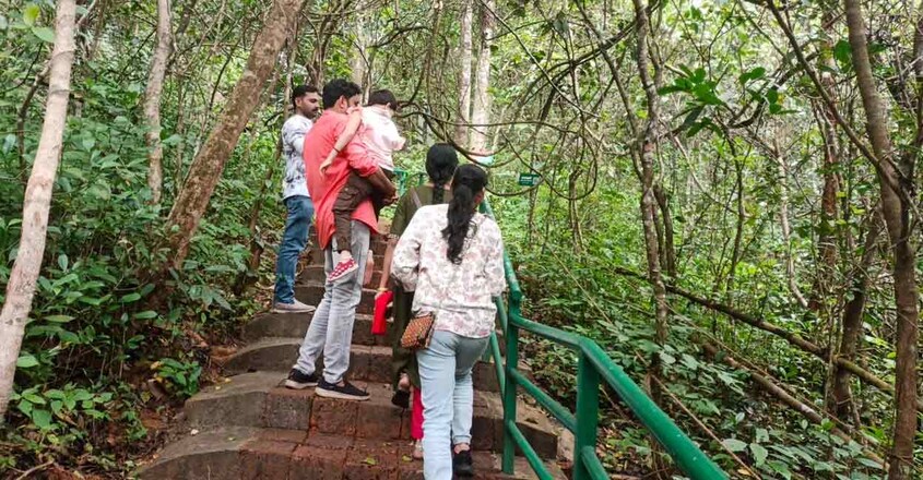 ഒന്നര വർഷത്തിനിടെ എത്തിയത് ഒരു ലക്ഷത്തിലേറെ പേർ; കൗതുകമായി വയനാട്ടിലെ ...