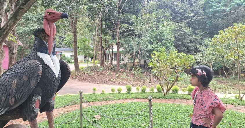 ഒന്നര വർഷത്തിനിടെ എത്തിയത് ഒരു ലക്ഷത്തിലേറെ പേർ; കൗതുകമായി വയനാട്ടിലെ ...
