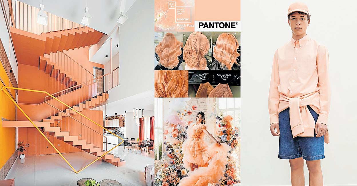 2024ന്റെ നിറം ഏതാണെന്നറിയാമോ? - Peach Fuzz Declared Pantone's 2024 ...