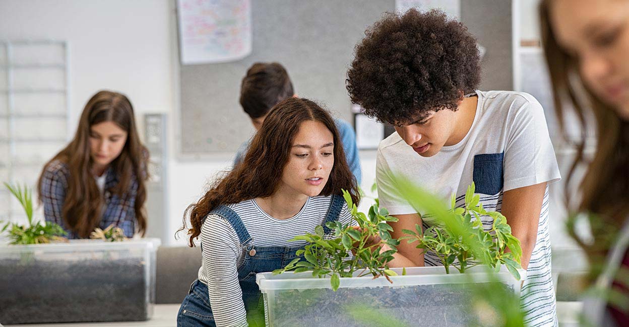 എൻവയൺമെന്റൽ സയൻസിൽ | Career guru | Environmental Science | Manorama Online