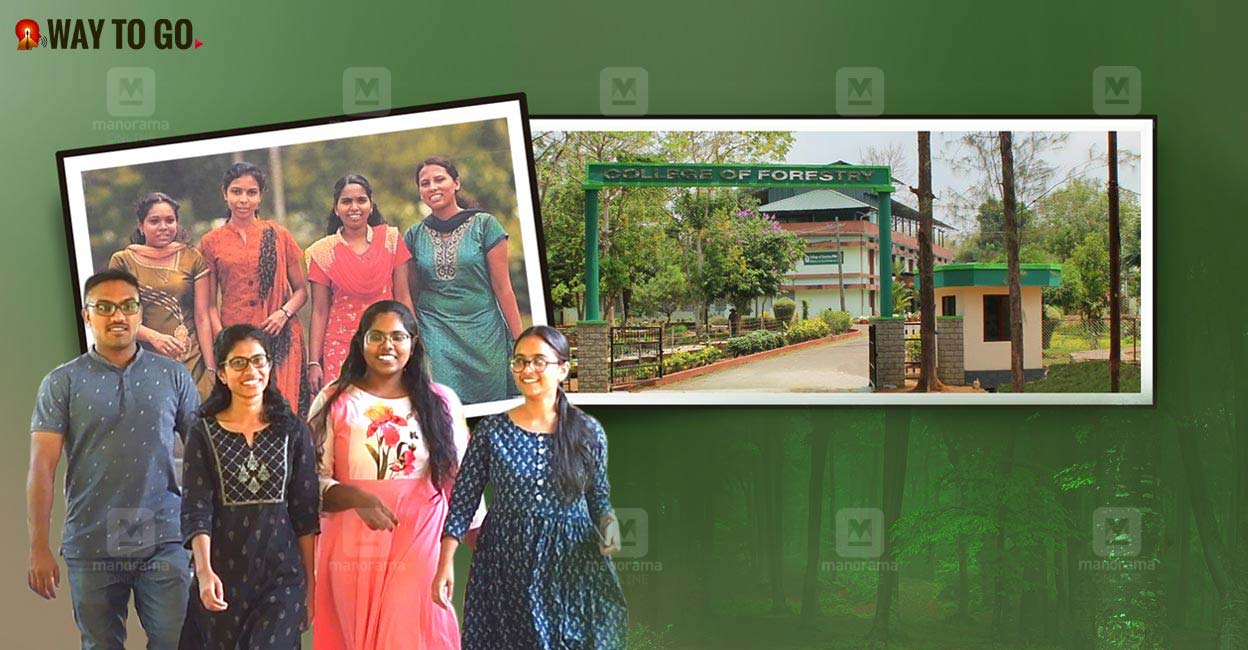 വിദേശത്തും ബാങ്കിലും തൊഴിലവസരങ്ങൾ | Forestry college and exciting dream ...