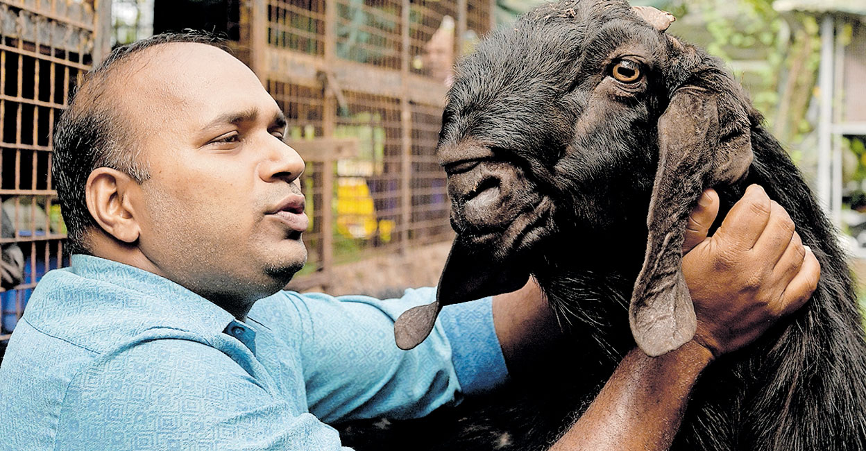 പഠിച്ചത് ചരിത്രവും ഐടിയും | Jerin Paul | Farmer | Job