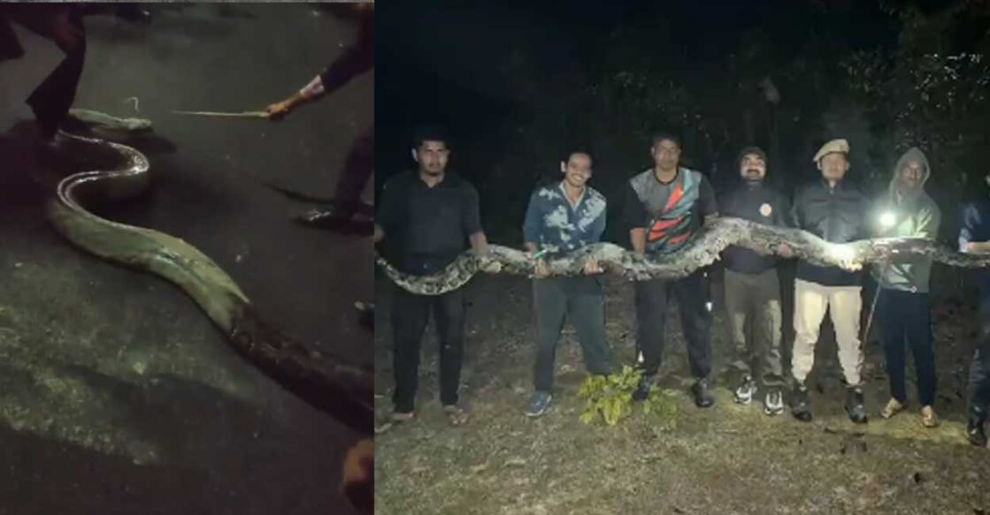 ഗേൾസ് ഹോസ്റ്റലിനു സമീപം 17 അടി നീളമുള്ള പെരുമ്പാമ്പ്; ബഹളംവച്ചപ്പോ ...