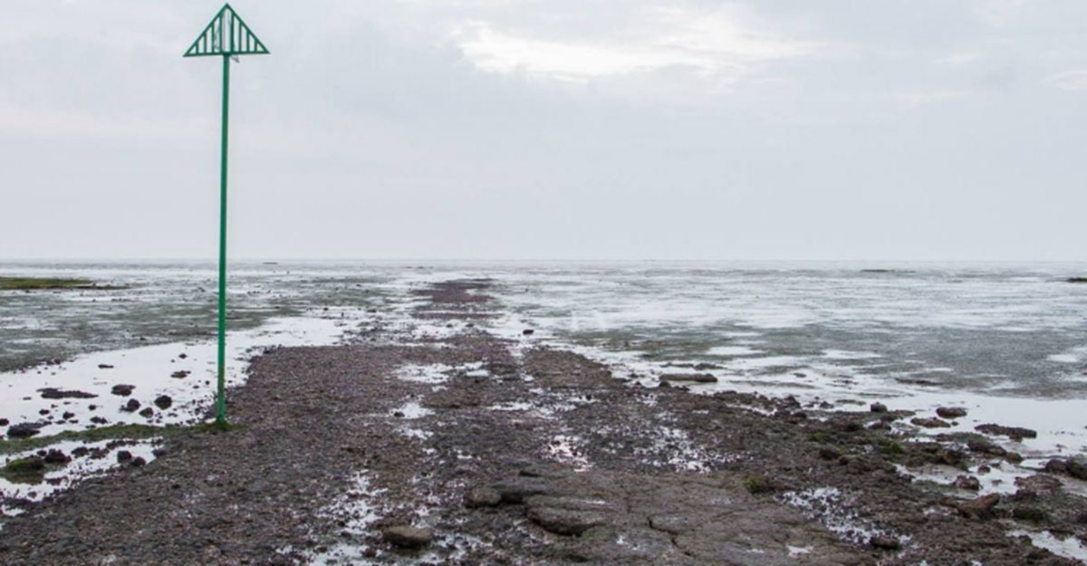 എപ്പോൾ വേണമെങ്കിലും മരണം സംഭവിക്കാം; കടലിനുള്ളിലെ മരണം പതിയിരിക്കുന്ന ...