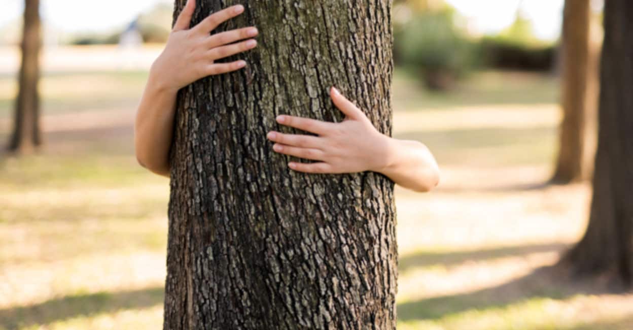 മരം വെട്ടാതിരിക്കാൻ പുണർന്നു നിന്നു; അന്ന് ജീവൻ നക്ഷ്ടപ്പെട്ടത് 363 പേ ...