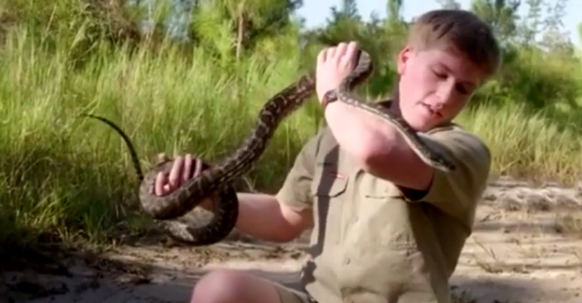 അന്ന് അച്ഛൻ ഇന്ന് മകൻ; ചിത്രീകരണത്തിനിടയിൽ ആഞ്ഞു കൊത്തുന്ന പാമ്പ് ...