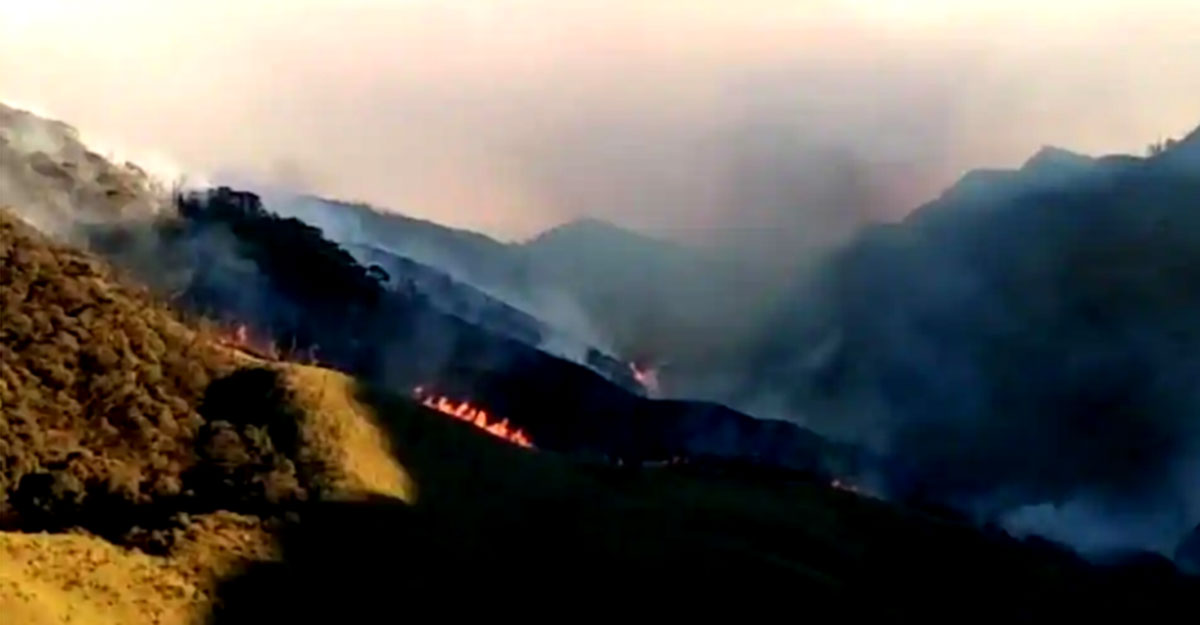 നാഗാലാൻഡിൽ നിന്നും കാട്ടുതീ മണിപ്പൂരിലേക്ക്; സഹായം തേടി സർക്കാർ; വൻനാശം ...