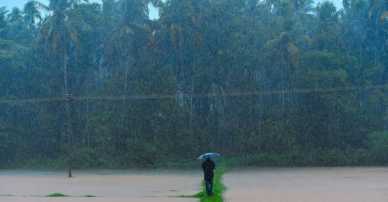 സംസ്ഥാനത്ത് കാലവർഷം എത്തി; ഇന്ന് 9 ജില്ലകളിൽ യെലോ അലർട്ട് | Monsoon ...
