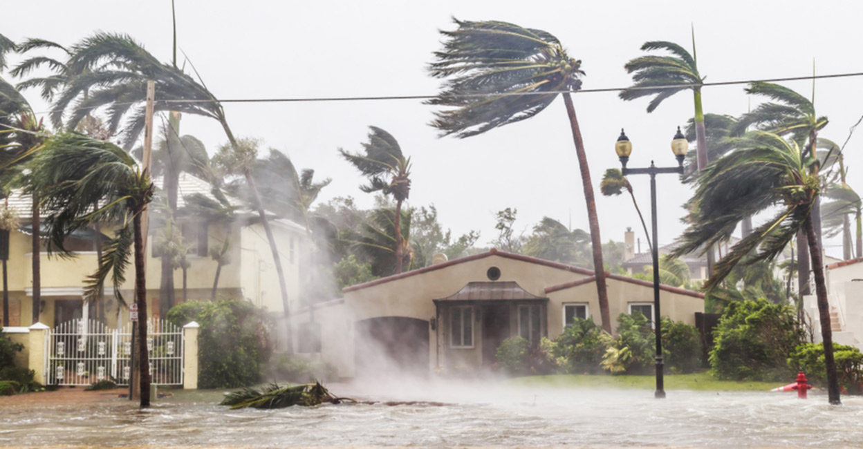 പ്രകൃതിദുരന്തങ്ങളുടെ എണ്ണം അപകടകരമാം വിധം വർധിക്കുന്നു; വിര ...