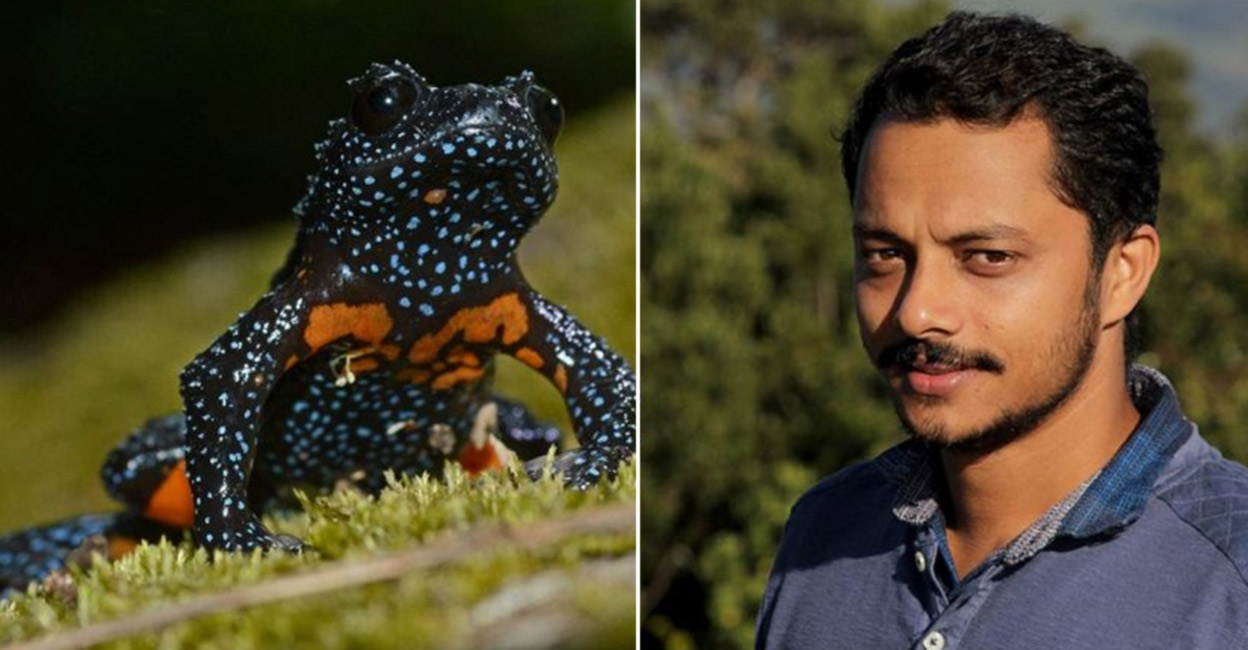 ഗ്യാലക്സി ഫ്രോഗ്: മലയാളി ഗവേഷകന്‍ കണ്ടെത്തിയത് വംശനാശ ഭീഷണി നേരിടുന്ന ...