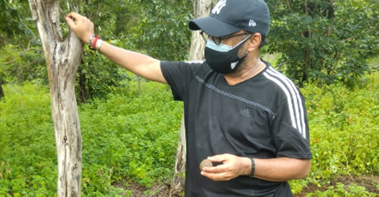 കാടൊരുങ്ങട്ടെ കണ്മുന്നിൽ... പഴമയിൽനിന്നു ;പുതുമയിലേക്ക് വിതൈപന്തെറിഞ്ഞ് ...