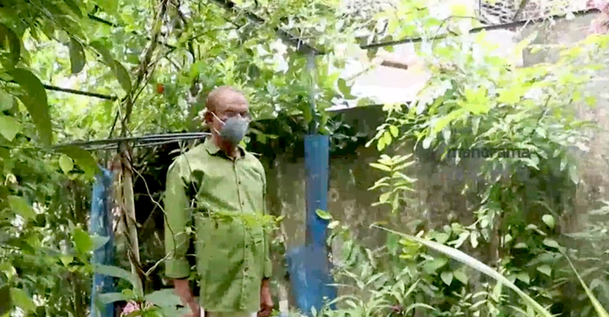 ലക്ഷ്യം മിയാവാക്കി; നഗരഹൃദയത്തിലെ പുരയിടത്തില്‍ ചെറുവനം ഒരുക്കി ...
