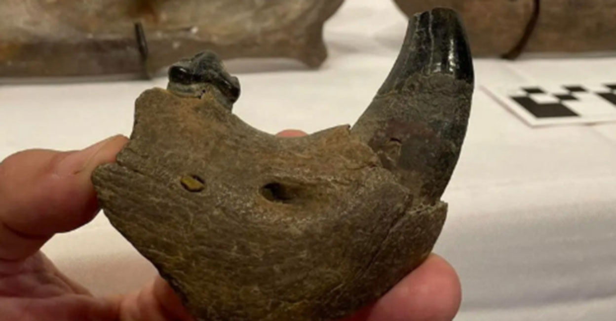 വരൾച്ച രൂക്ഷം, വമ്പൻ നദി വറ്റിവരണ്ടു; ഉയർന്നു വന്നത് മണലില്‍ മറഞ്ഞു ...