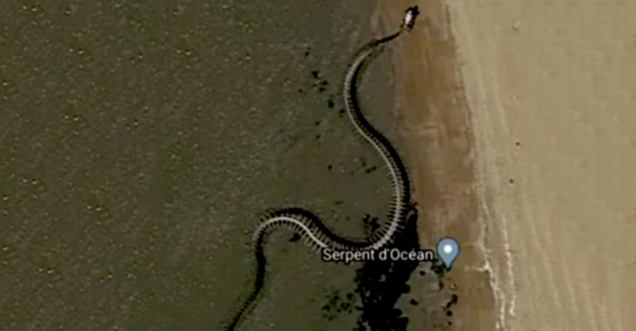 ഗൂഗിൾ മാപ്പിൽ കണ്ടത് വമ്പൻ പാമ്പിന്റെ അസ്ഥികൂടം: ടൈറ്റനോബോവയ്ക്കായി ...