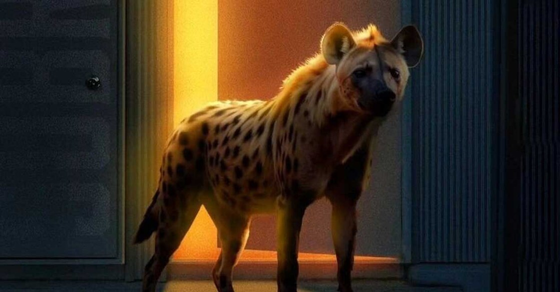 ലിയോയിലെ വൈലന്റ് സ്റ്റാർ ‘ഹൈന’; രാത്രികളിൽ മുഴങ്ങുന്ന ആ പ്രേതക്കരച്ചി ...