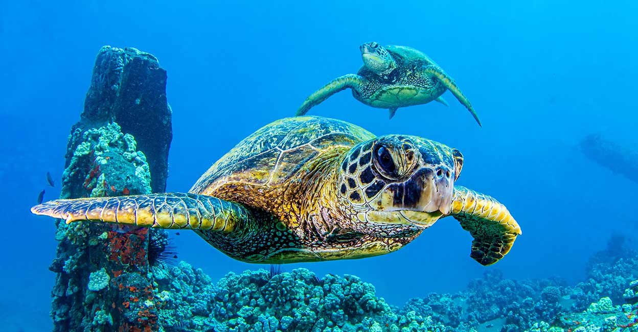 കള്ളനും കാറ്റും ചതിച്ചില്ലെങ്കിൽ വെള്ളാരംകല്ലിന്‍മേൽ കണ്ടുമുട്ടാം: ആ ...