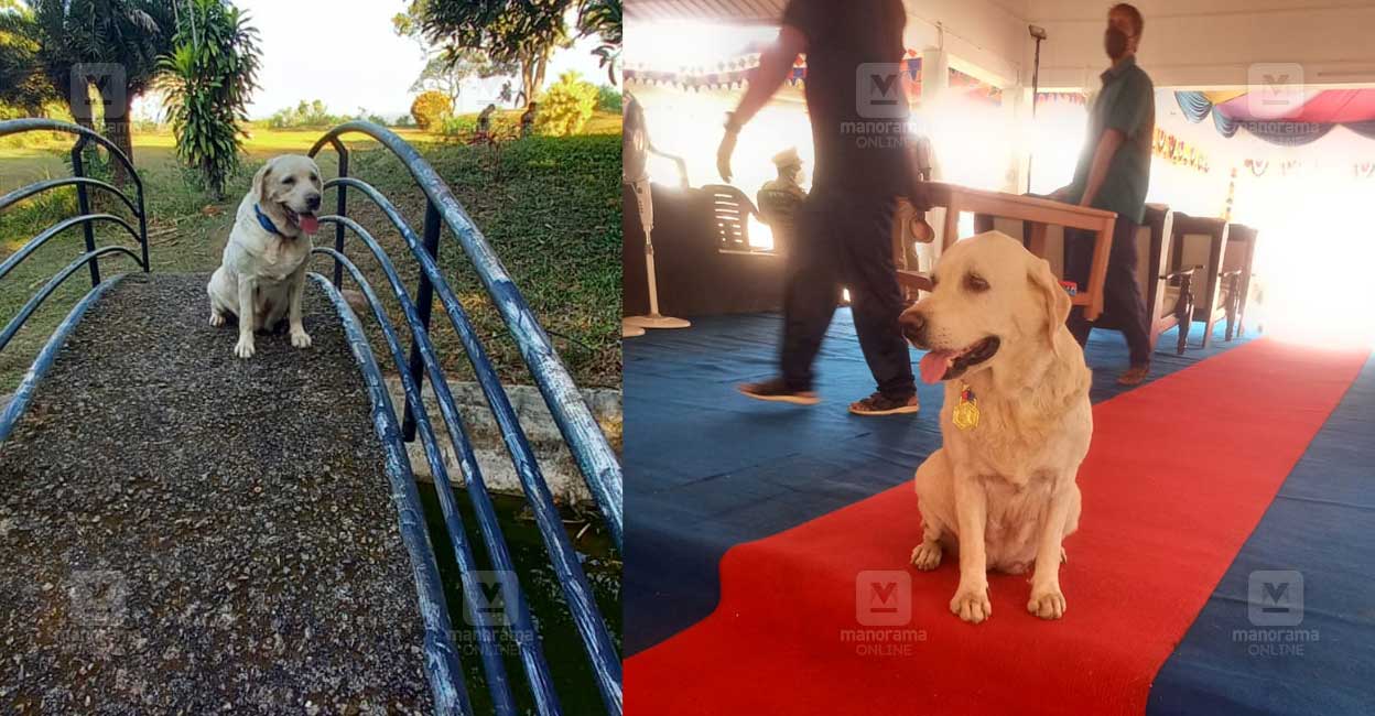 കണ്ണേ, കരളേ, കല്യാണീ..: വിഐപികളുടെ പ്രിയ സ്നിഫർ ഡോഗ്, ജനങ്ങളുടെയും ...