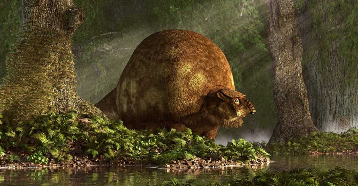 നടക്കുന്ന കുന്നുപോലെ ഒരു വിചിത്രജീവി: ആയിരം ഭാഗങ്ങൾ കൊണ്ട് നിർമിച്ച ...