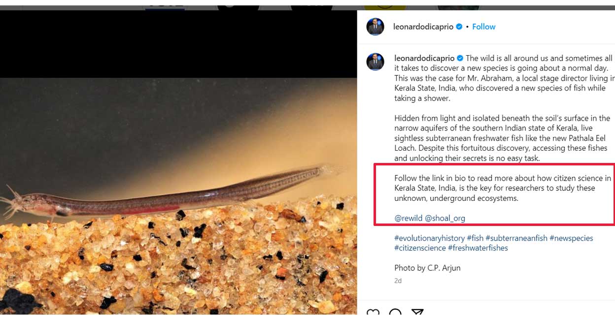 മലയാളികൾ കണ്ടെത്തിയ ‘പാതാള പൂന്താരക’നെ സ്റ്റാറാക്കി ഡി കാപ്രിയോ ...