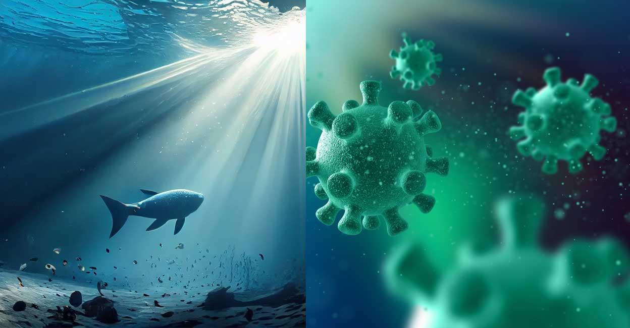 ലോകത്തിലെ ഏറ്റവും ആഴത്തിലുള്ള വൈറസ്; കണ്ടെത്തിയത് സമുദ്രത്തിൽ 9 ...