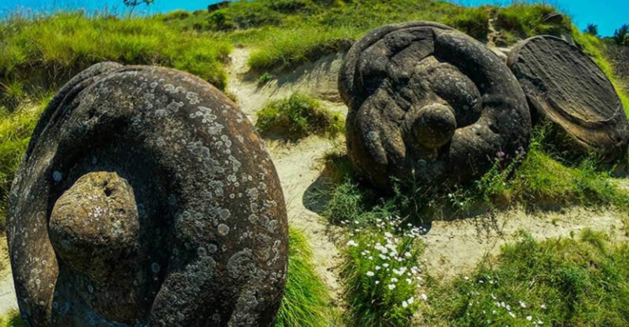 സ്വയം വളരും, രൂപം മാറും , പ്രത്യുത്പാദനവും നടത്തും: ഈ കല്ലുകൾക്ക് ...