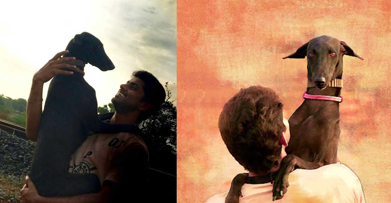 നൂറിലധികം മൃഗങ്ങളുടെ ജീവനെടുക്കും പടക്കം; ഇത്തവണ പരിയേറും പെരുമാ ...