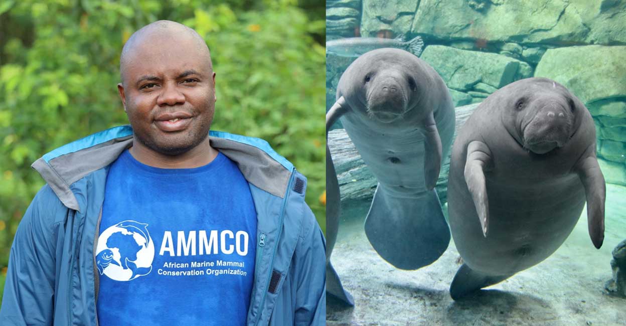 കടൽപശുക്കളുടെ ജീവനു ഭീഷണിയാകുന്ന ജലസസ്യം; സംരക്ഷണത്തിനൊരുങ്ങി ...