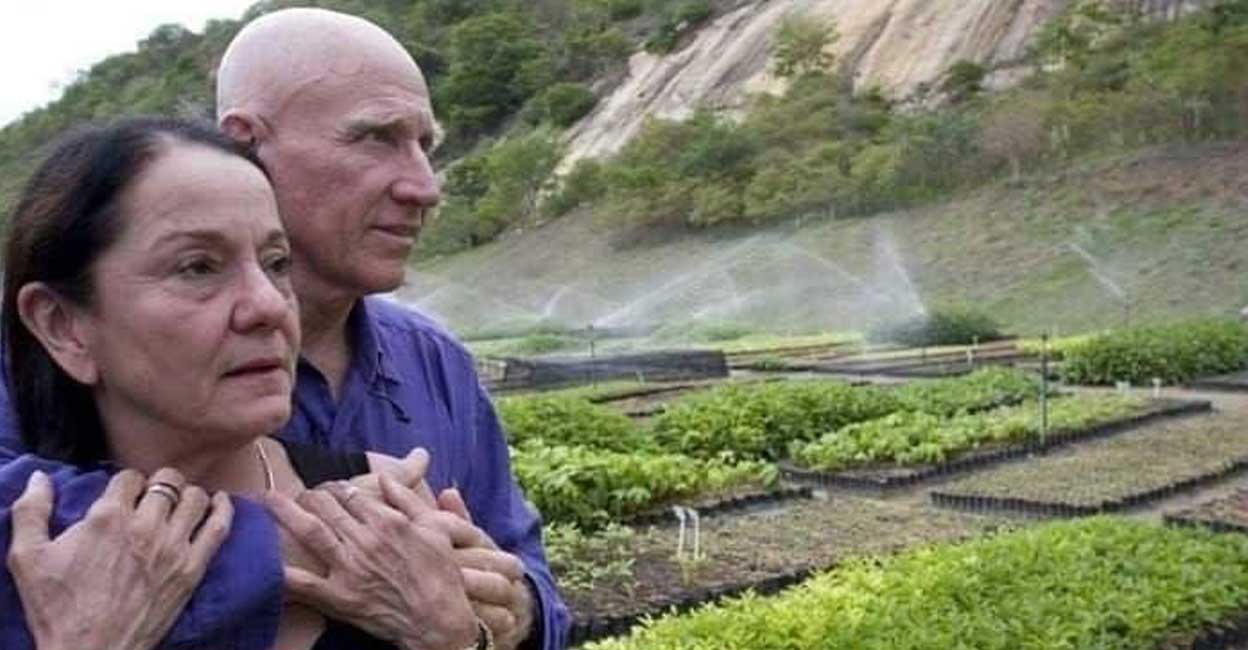 വരണ്ട ഭൂമിയിൽ തൈനട്ടു, ഇന്നവിടെ 20 ലക്ഷത്തോളം മരങ്ങൾ; ആമസോണിൽ മായാജാലം കാട്ടിയ ഫൊട്ടോഗ്രഫ ...