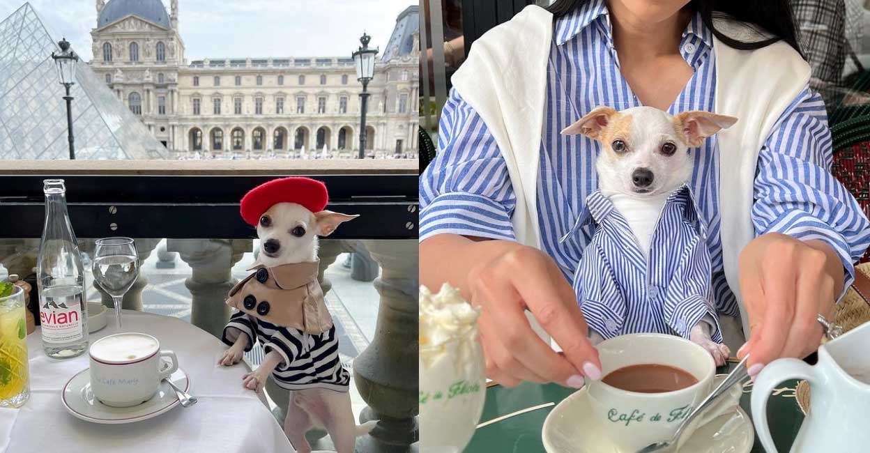 രണ്ട് ലക്ഷത്തിന്റെ വസ്ത്രം, കൂളിങ് ഗ്ലാസ്, സ്യൂട്ട്; ഈ നായ ‘റിച്ച്’ ആണ് ...