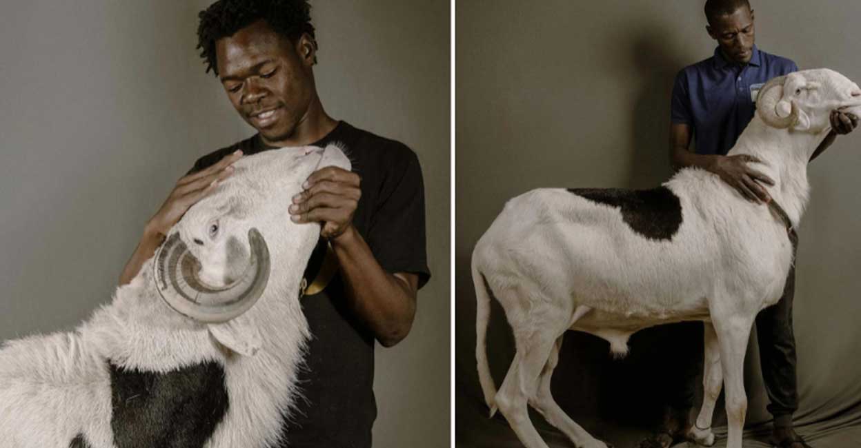 പ്രൗഢഗംഭീരമായ ‘ആടുജീവിതം’; സെനഗലിന്റെ പ്രിയപ്പെട്ട ലാഡൂമുക ...