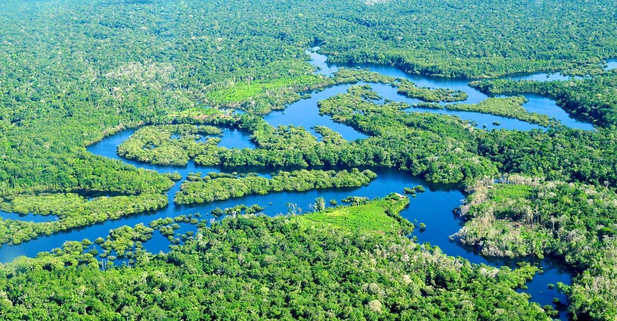 2050ലെ ദുരന്തത്തിൽ നിന്നു രക്ഷപ്പെടുമോ ആമസോൺ? വനനശീകരണം ഏറ്റവും കുറഞ്ഞ ...