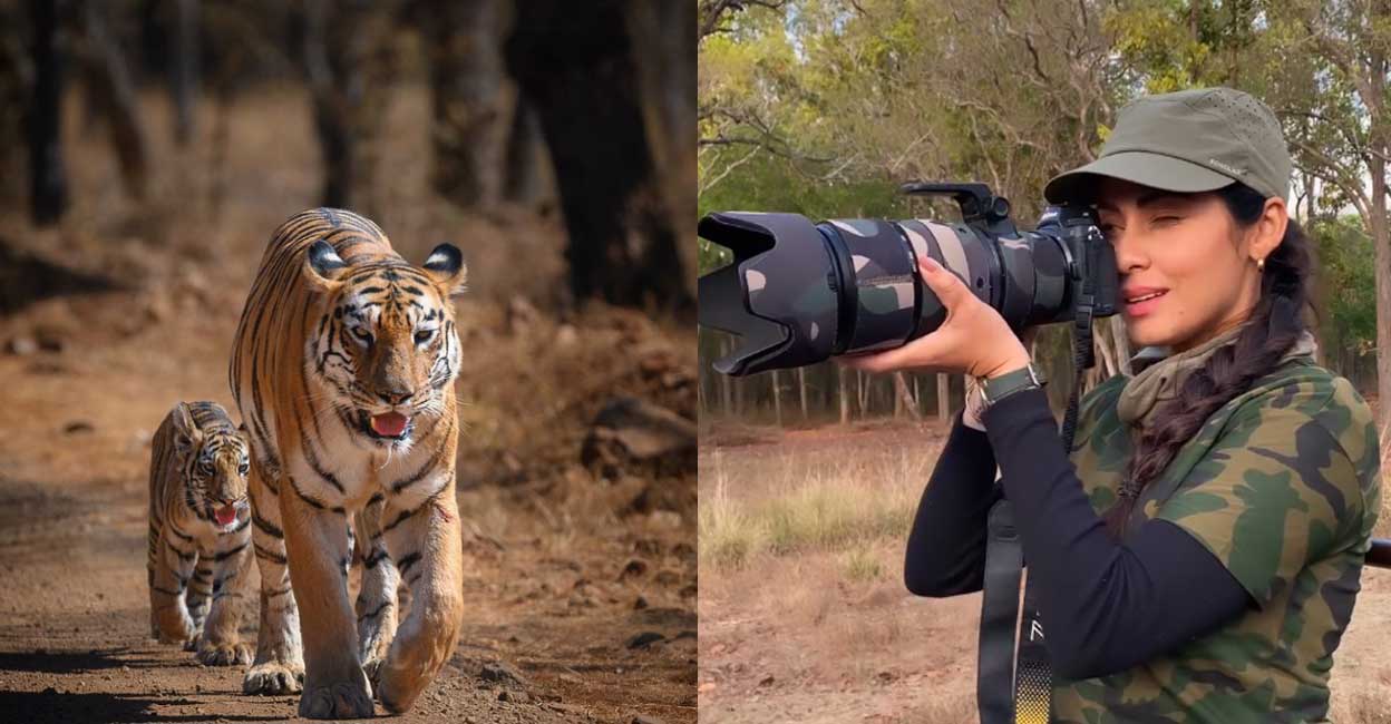 അന്ന് തമിഴ്സിനിമയിലെ നായിക; ഇന്ന് വൈൽഡ് ലൈഫ് ഫൊട്ടോഗ്രാഫർ: പാഷന്റെ ...