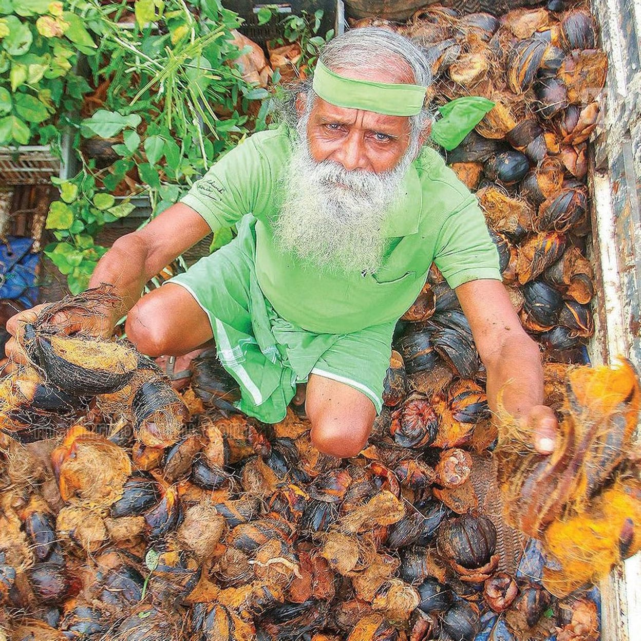 സൂര്യനും പച്ചിലയും ഉപാസനാമൂർത്തികൾ; മരമായി തണലാകാൻ മോഹിച്ച ബാല ...