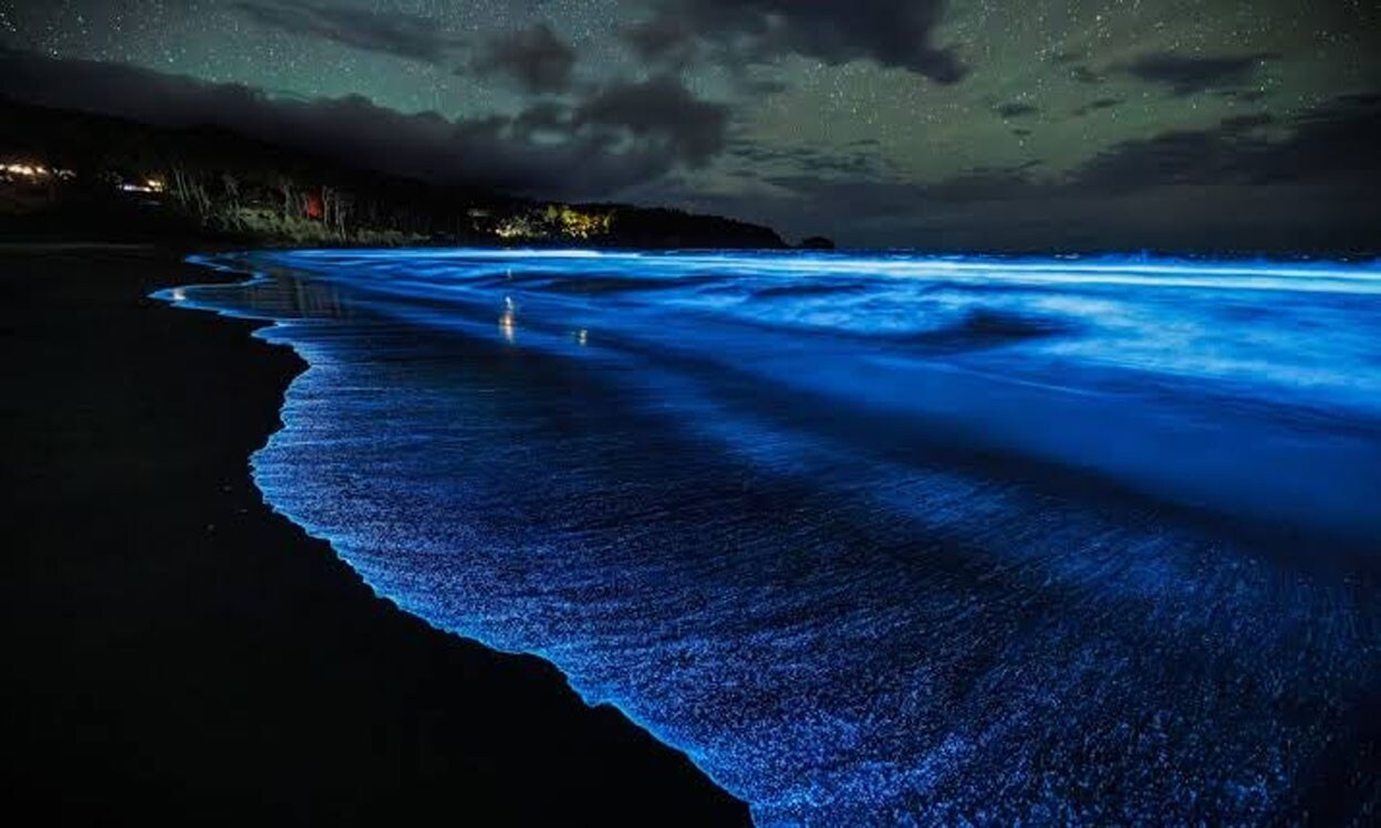 കവര് അത്ര ‘ക്ലിയർ’ അല്ല, പിന്നിൽ അപകടം! ജീവികളെ മാത്രമല്ല, മനുഷ്യരെയും ...