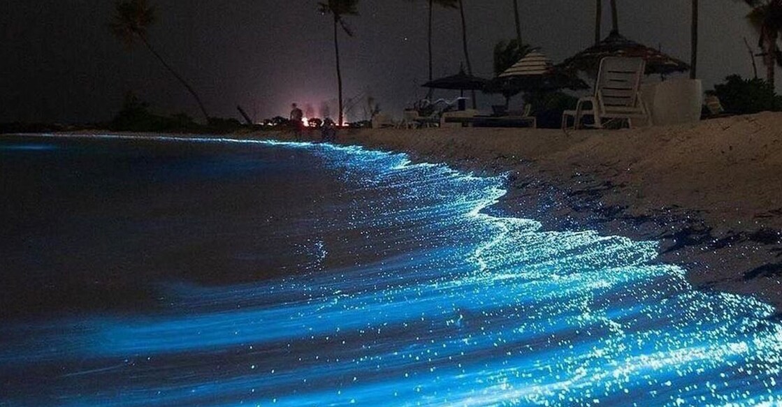 കവര് അത്ര ‘ക്ലിയർ’ അല്ല, പിന്നിൽ അപകടം! ജീവികളെ മാത്രമല്ല, മനുഷ്യരെയും ...