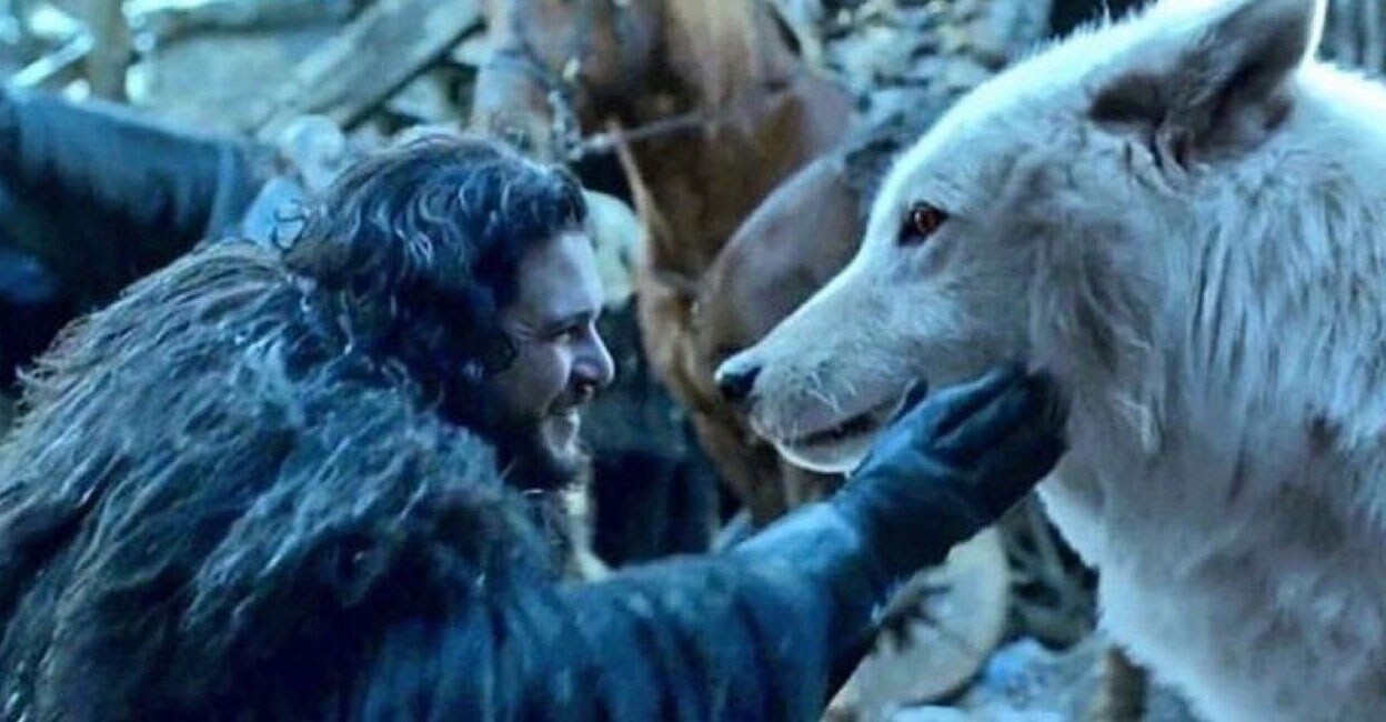 12,500 വർഷം മുൻപുള്ള ചെന്നായ്ക്കളെ പുനഃസൃഷ്ടിച്ചു; പ്രസവിച്ചത് നായ്ക്ക ...