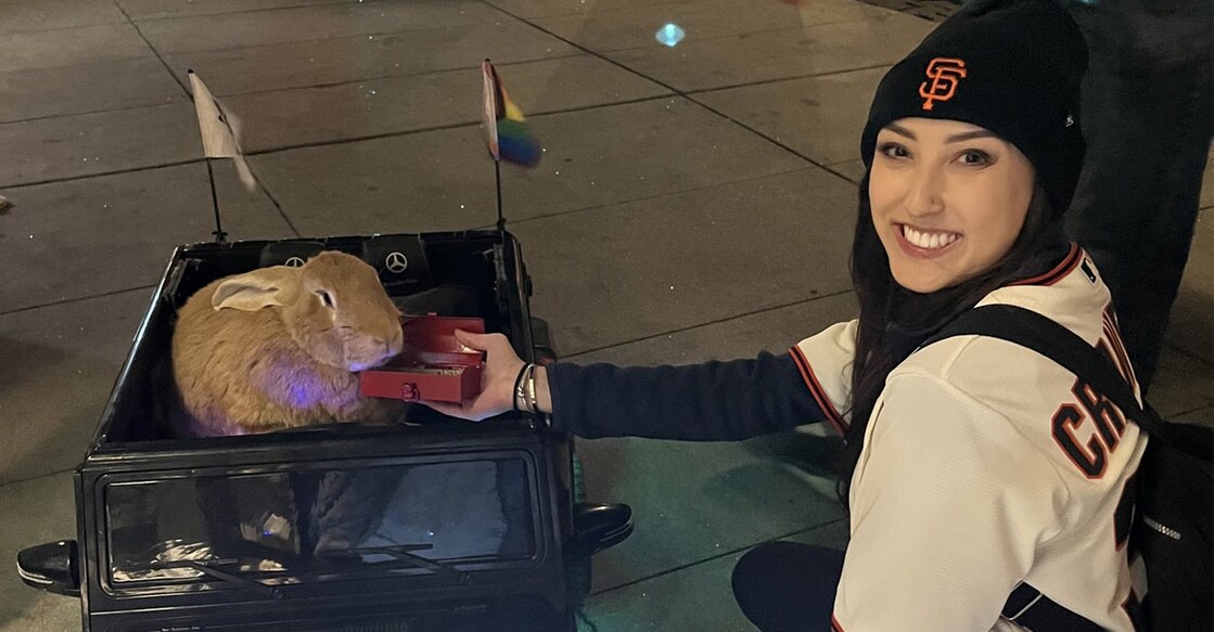 ലോകത്തെ ഏറ്റവും വലിയ മുയൽ ‘ഇൻഫ്ലുവൻസർ’: അലക്സിന്റെ കറക്കം ...