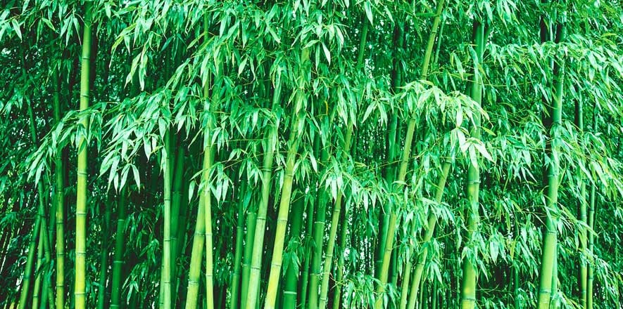 ഉരുള്‍പൊട്ടലും മണ്ണിടിച്ചിലും കെനിയന്‍ ജനത നേരിട്ടത് ഇങ്ങനെ; നമുക്കും ...