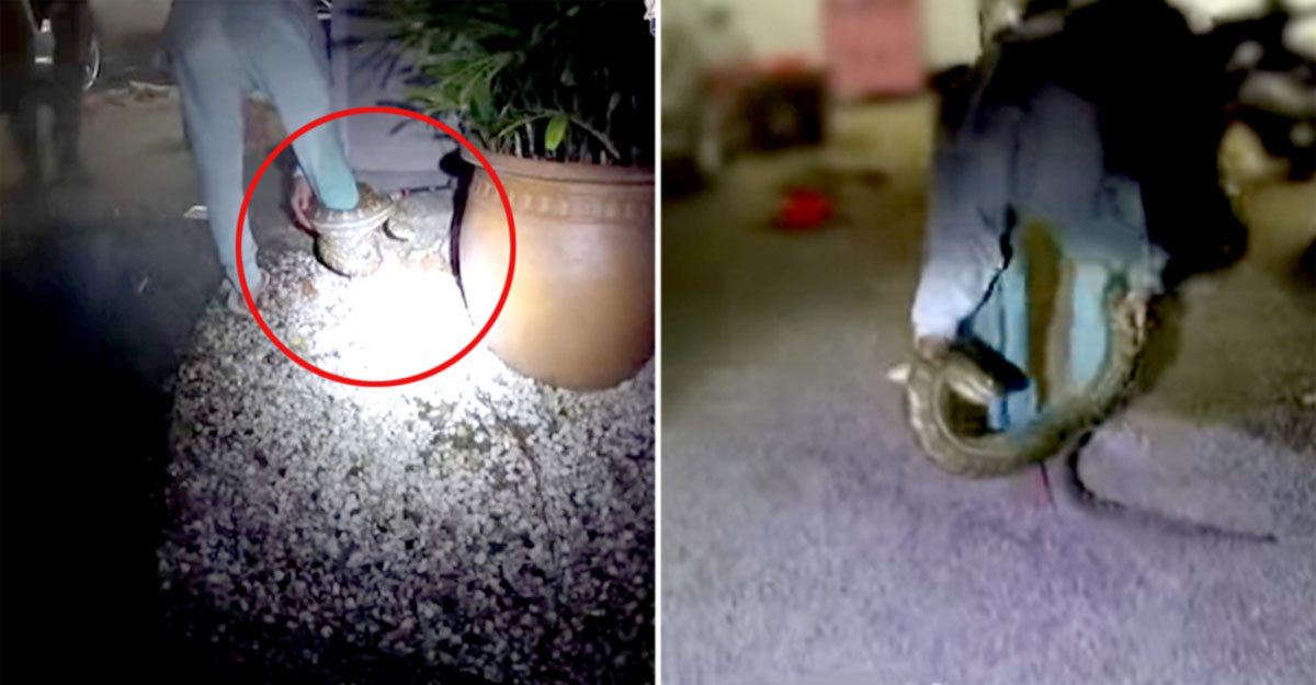 യുവതിയുടെ കാലിൽ ചുറ്റിയത് 10 അടിയോളം നീളമുള്ള പെരുമ്പാമ്പ്, പിന്നീട് ...