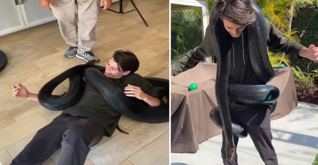 യുവാവിന് കിട്ടിയ അപ്രതീക്ഷിത സമ്മാനം ; ശരീരത്തിൽ ചുറ്റി കൂറ്റൻ മഴവി ...