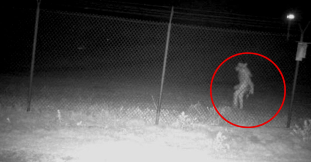 Sharp ears, walking like human beings; 'Strange' monster in front of ...