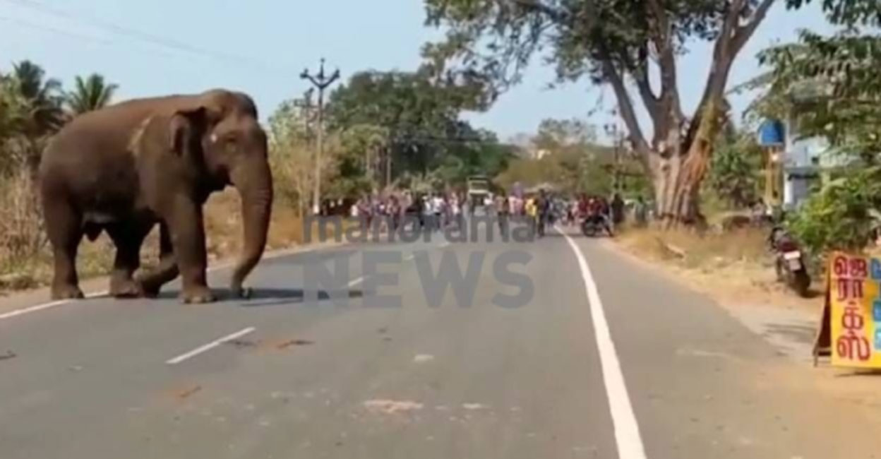 സംരക്ഷണഭിത്തിയും വാഹനങ്ങളും തകര്‍ത്തു; കേരള തമിഴ്നാട് അതിര്‍ത്തിയില് ...