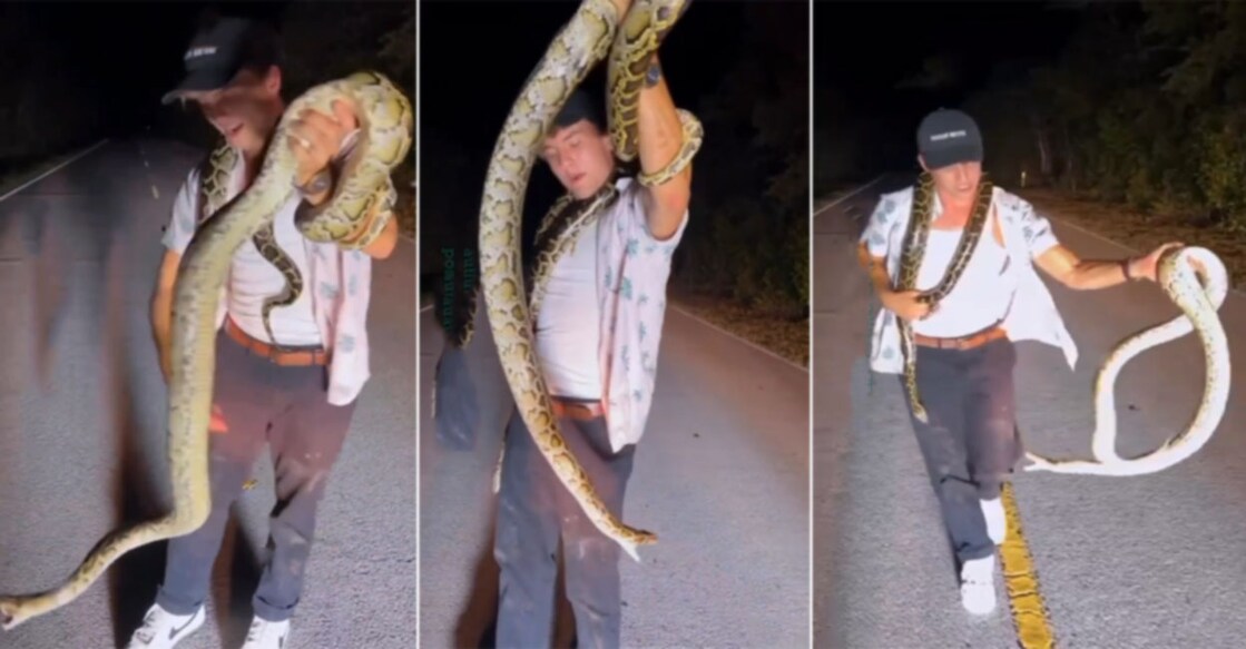 നടുറോഡിൽ പാമ്പുകളുമായി അഭ്യാസം; പെരുമ്പാമ്പുകളെ കഴുത്തിലും കാലിലും ...